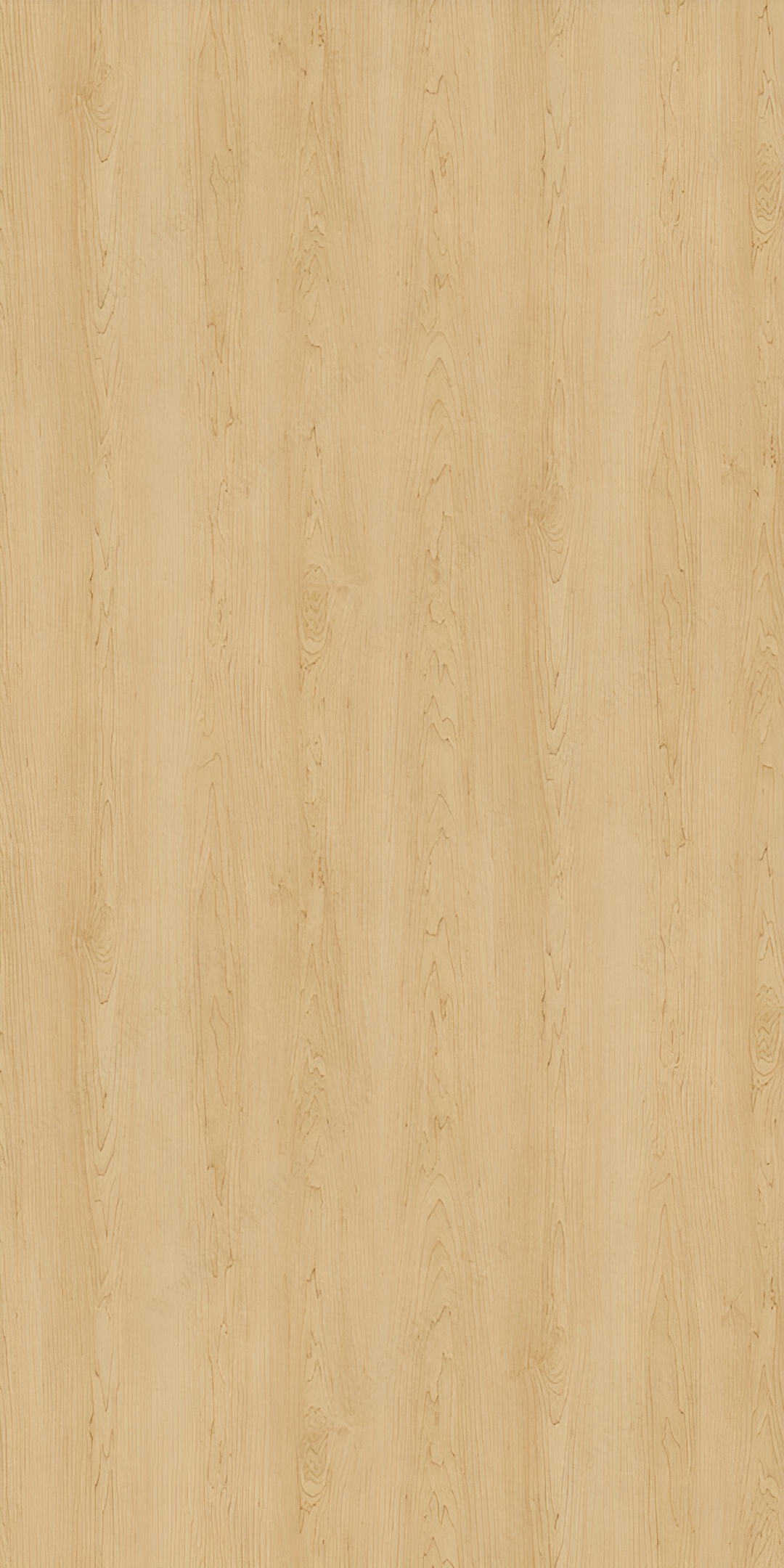 Richelieu N709921155580 Hardrock Maple Melamine TFL Panel ...