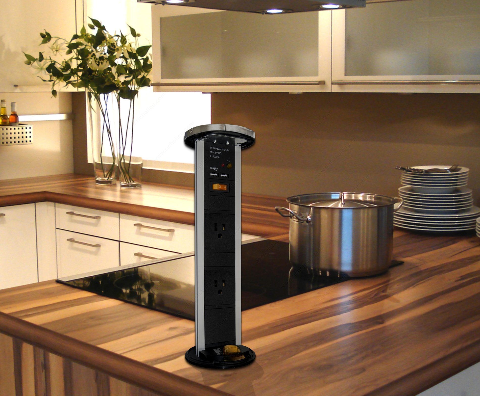 Richelieu 100492090 Richelieu Pop-Up Power Bar with 2 Outlets ...