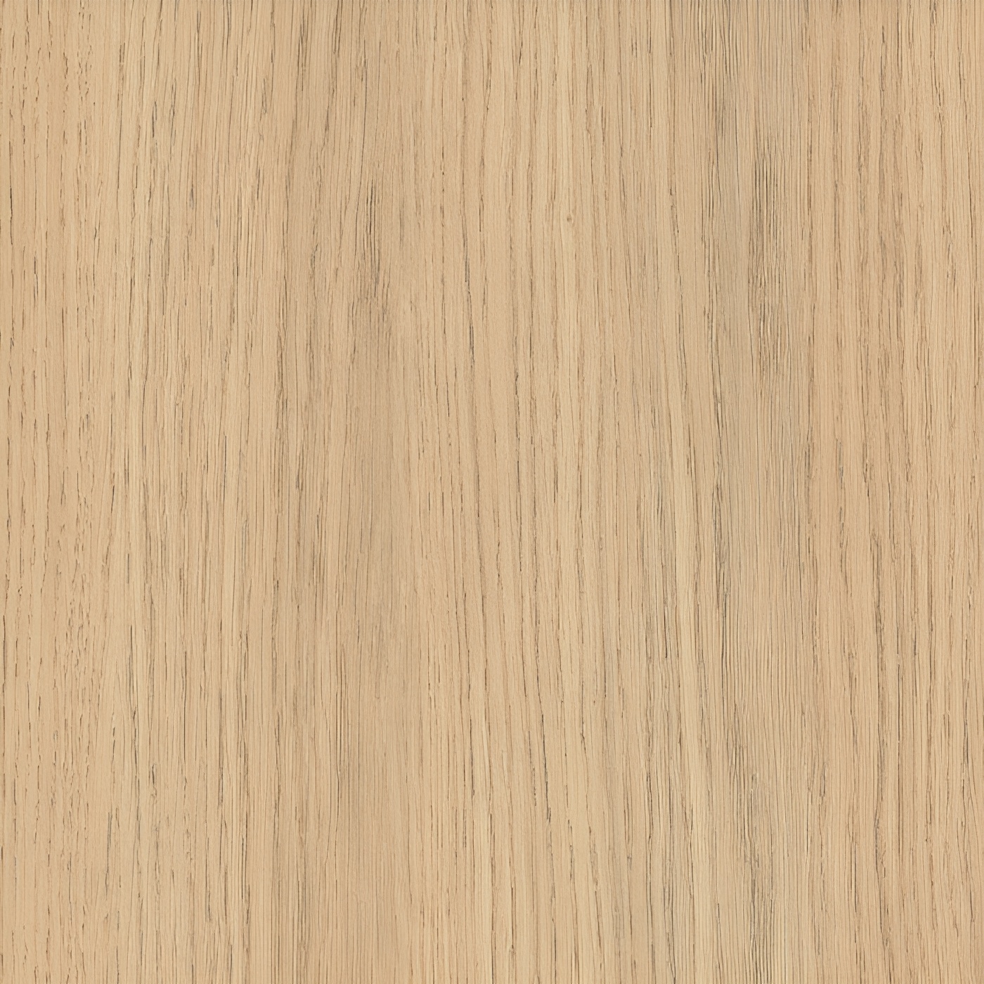 Richelieu EH3157ST121946 EGGER Eurodekor H3157 ST12 Vicenza Oak Panel ...