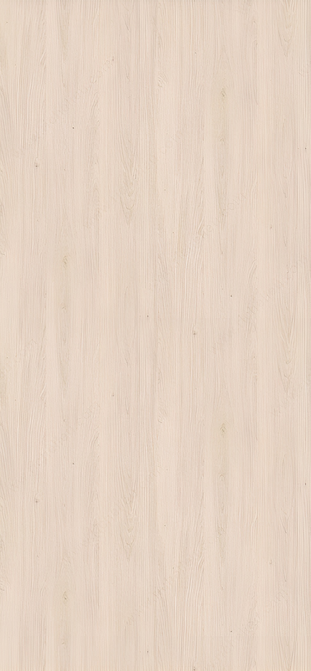 Richelieu EH1384ST401946 EGGER Eurodekor H1384 ST40 White Casella Oak ...